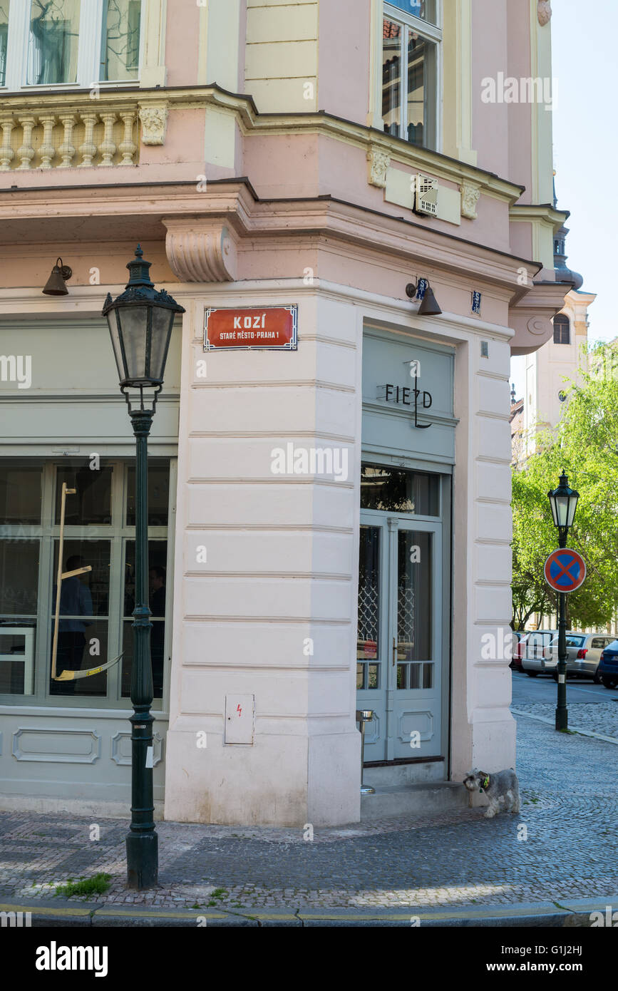 Prague beer hotel hi-res stock photography and images - Alamy