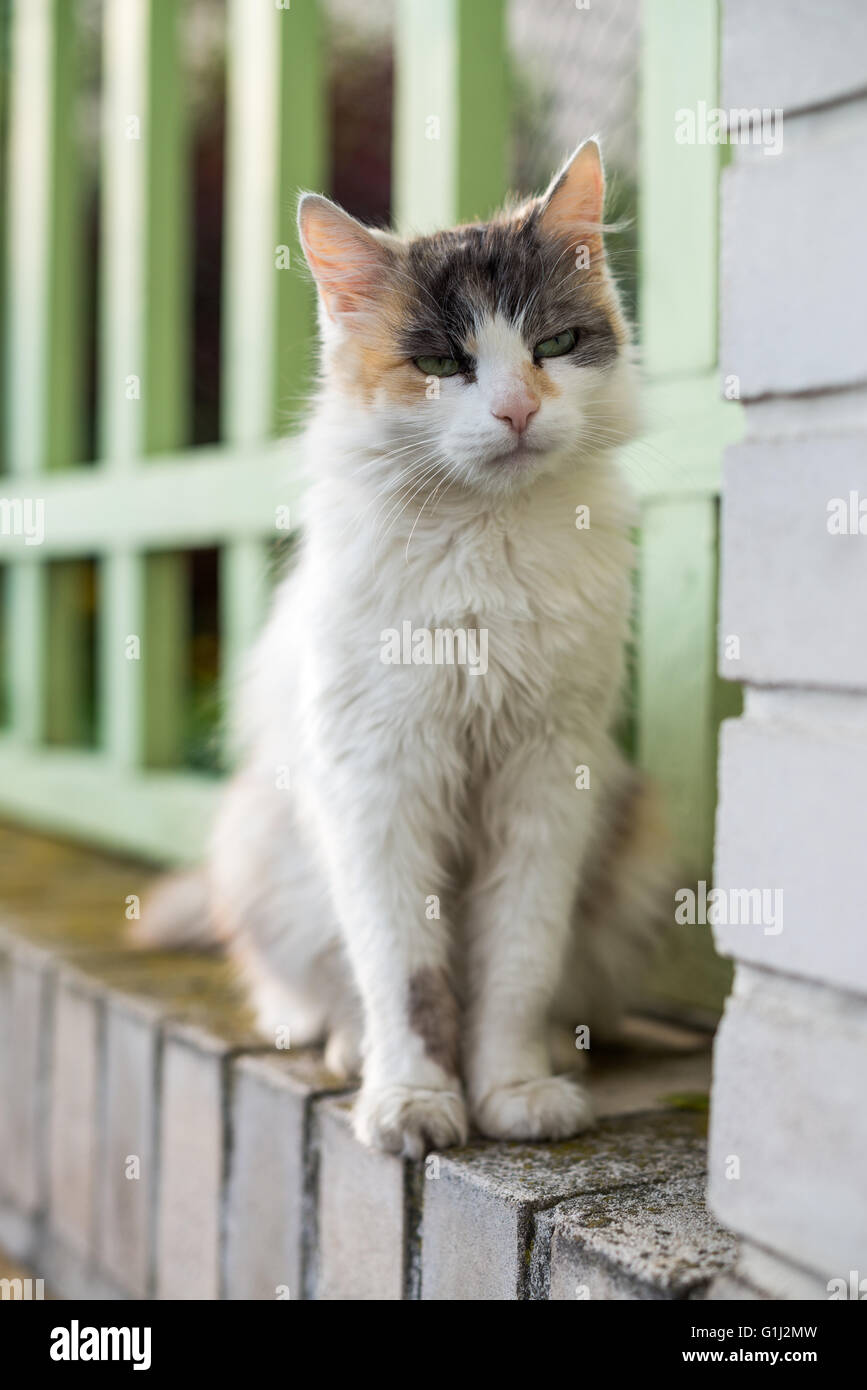 Prague park blossoms hi-res stock photography and images - Alamy