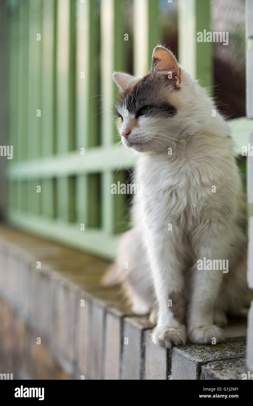 Prague park blossoms hi-res stock photography and images - Alamy