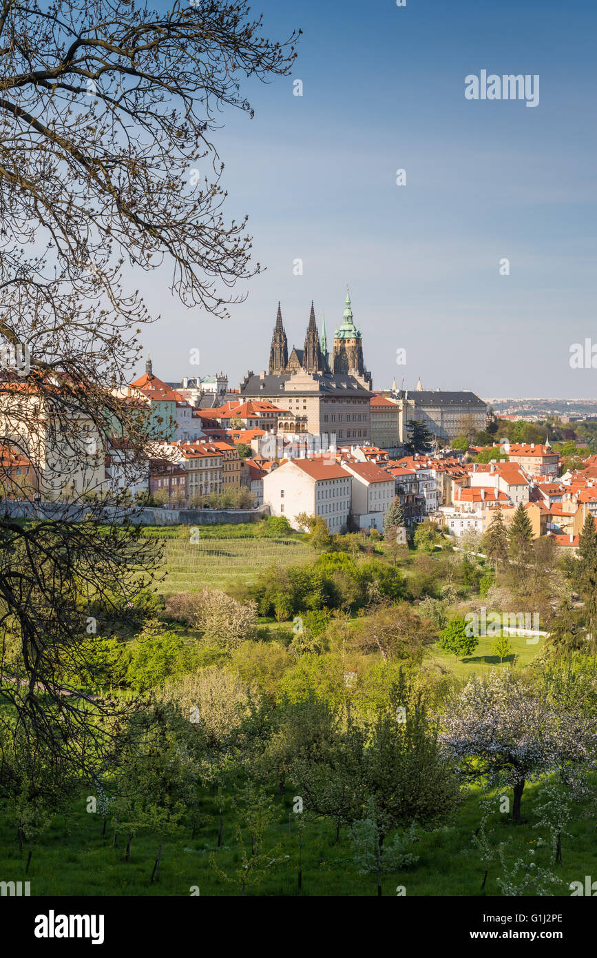 Prague castle spring panorama architecture flowering trees hi-res stock ...