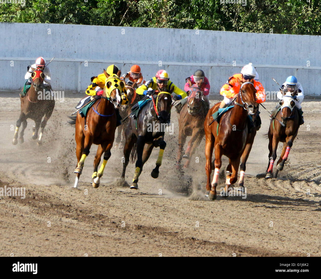 Cavite, Philippines. 15th May, 2016. Horse name “Dance Again” and ...