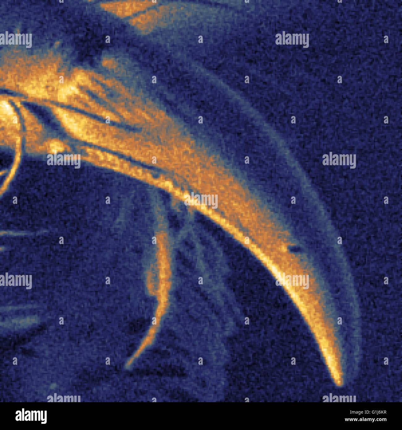 University of newcastle australia hi-res stock photography and images ...