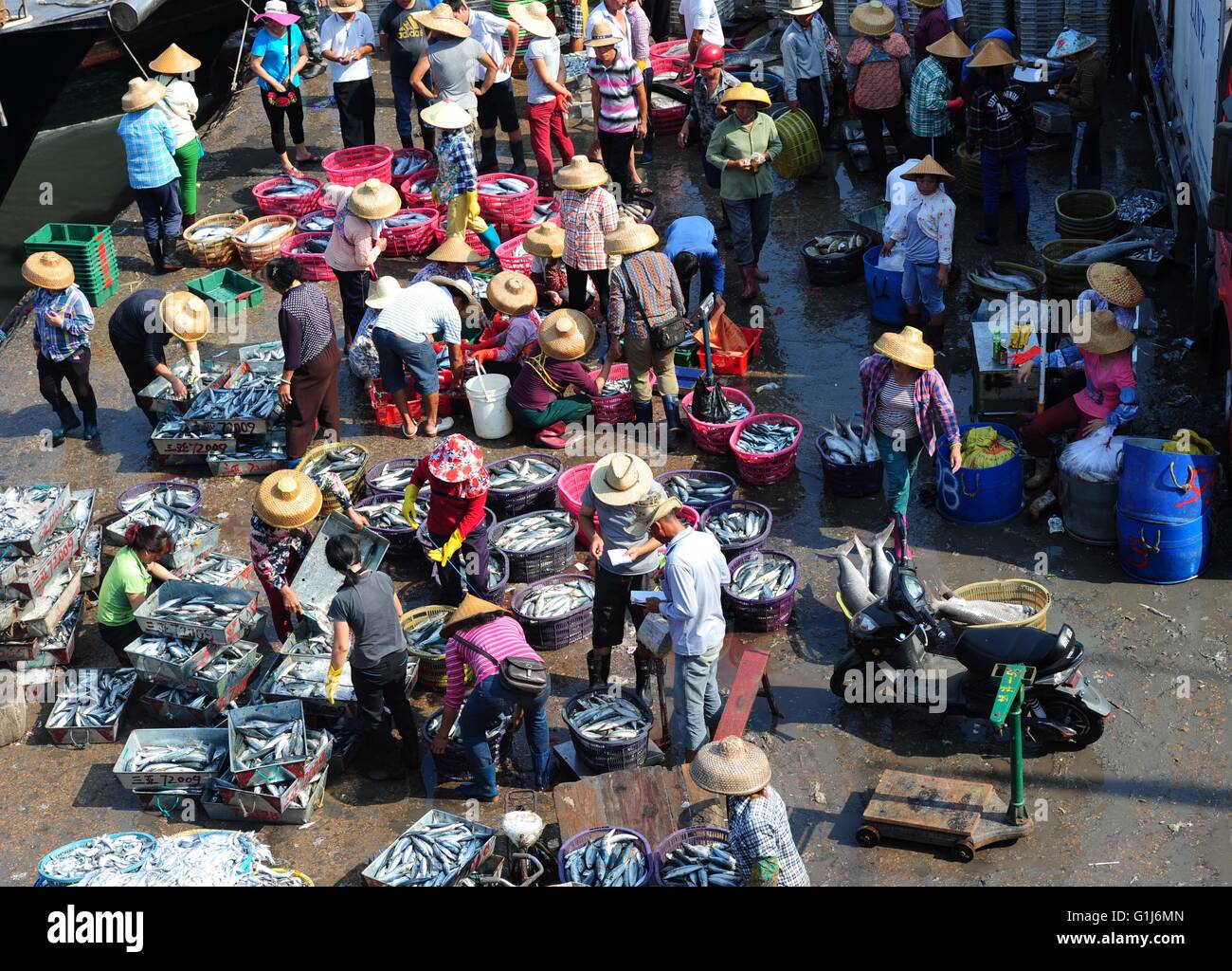 Sanya, China's Hainan Province. 16th May, 2016. Fishermen deal with the ...