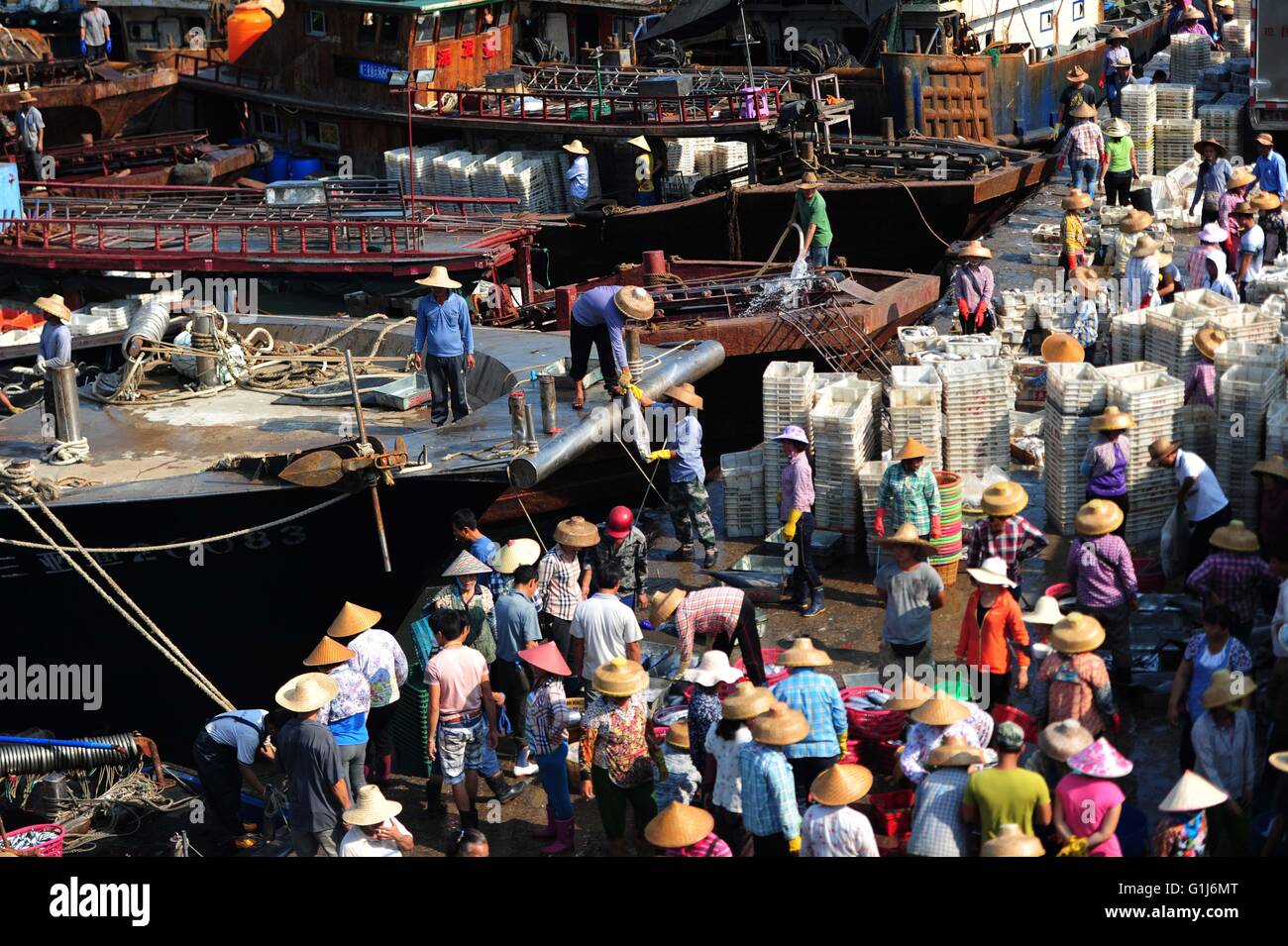 Sanya, China's Hainan Province. 16th May, 2016. Fishermen deal with the ...
