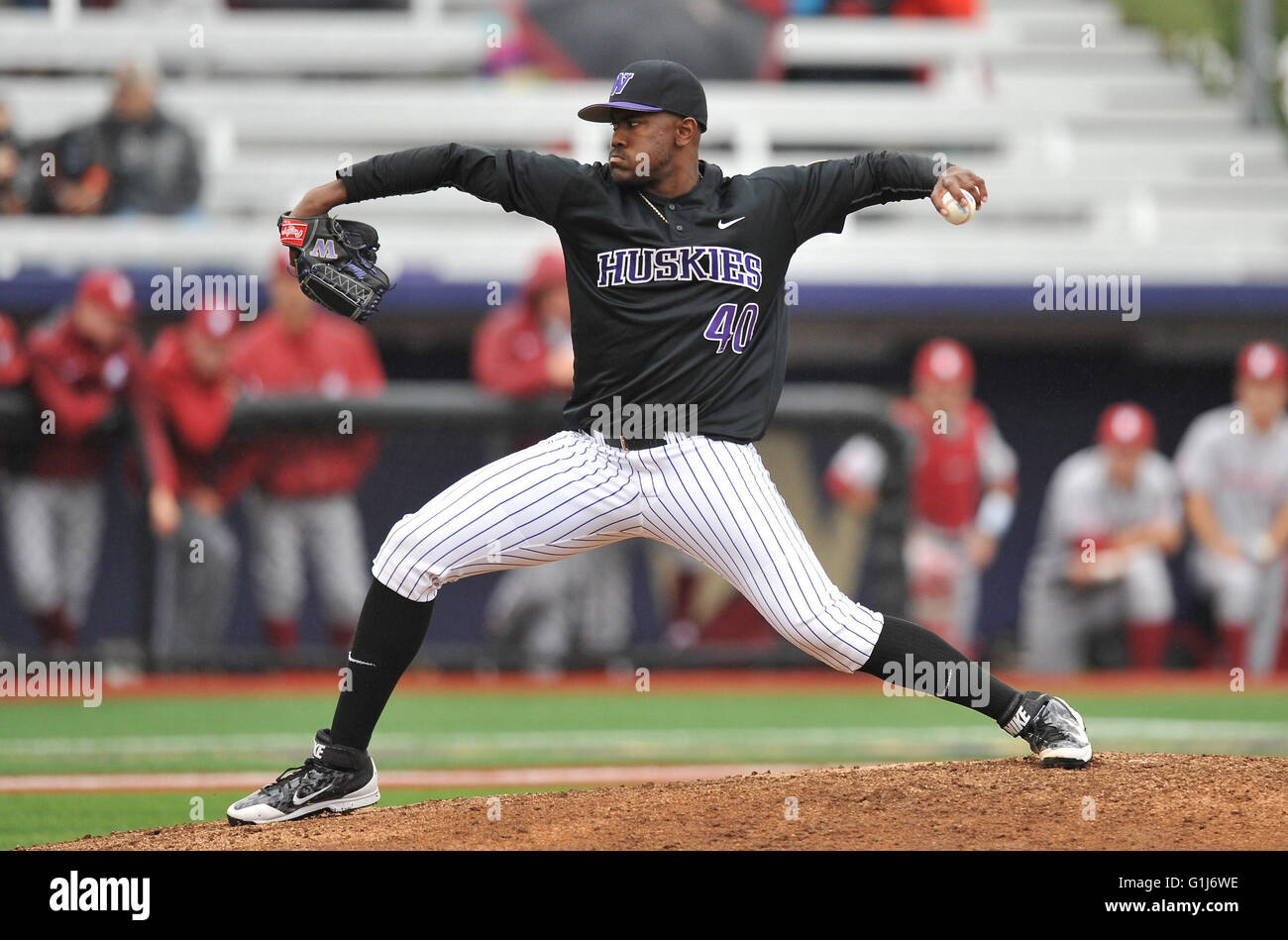 Husky ballpark hi-res stock photography and images - Alamy