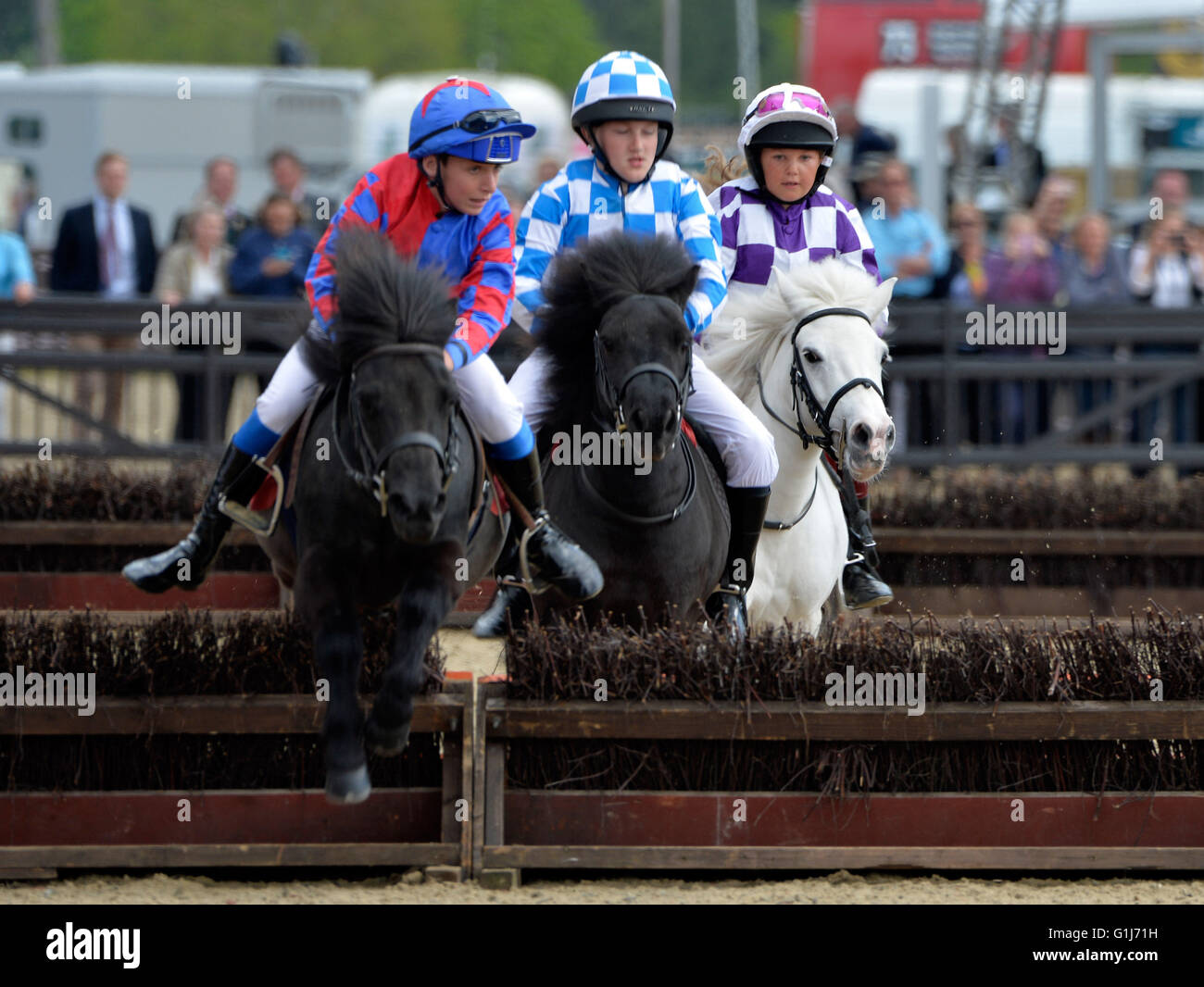 Daks pony club mounted games royal windsor horse show hi-res stock photography and images - Alamy