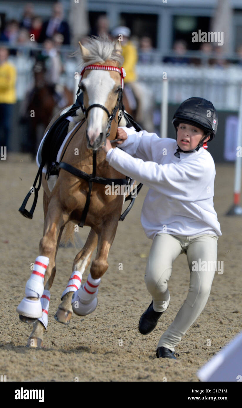 Daks pony club mounted games royal windsor horse show hi-res stock photography and images - Alamy