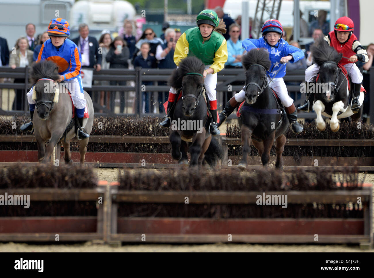 Daks pony club mounted games royal windsor horse show hi-res stock photography and images - Alamy