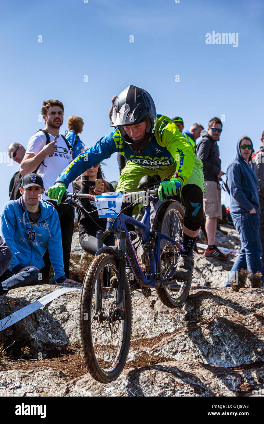 Carrick Mountain, County Wicklow, UK. 15th May, 2016. Pictured ...