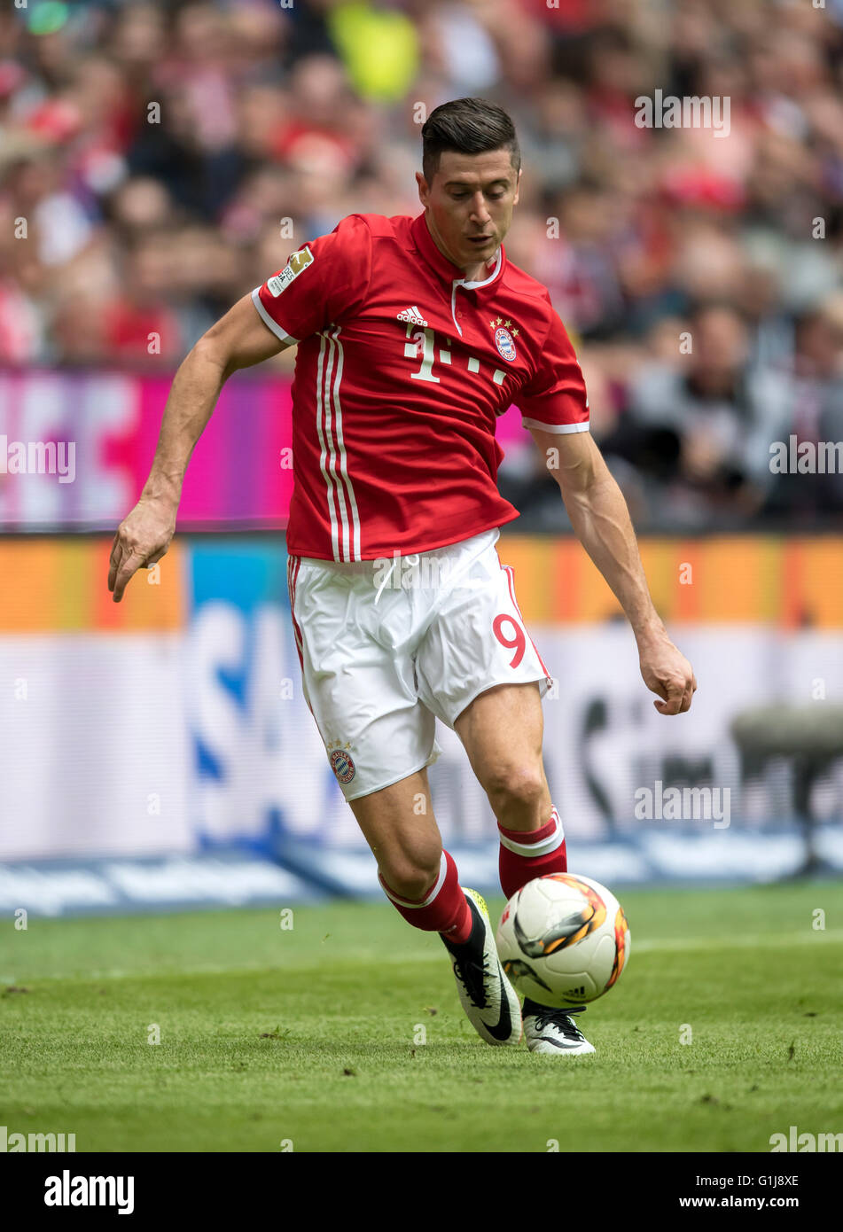 Munich's Robert Lewandowski in action during the German Bundesliga ...