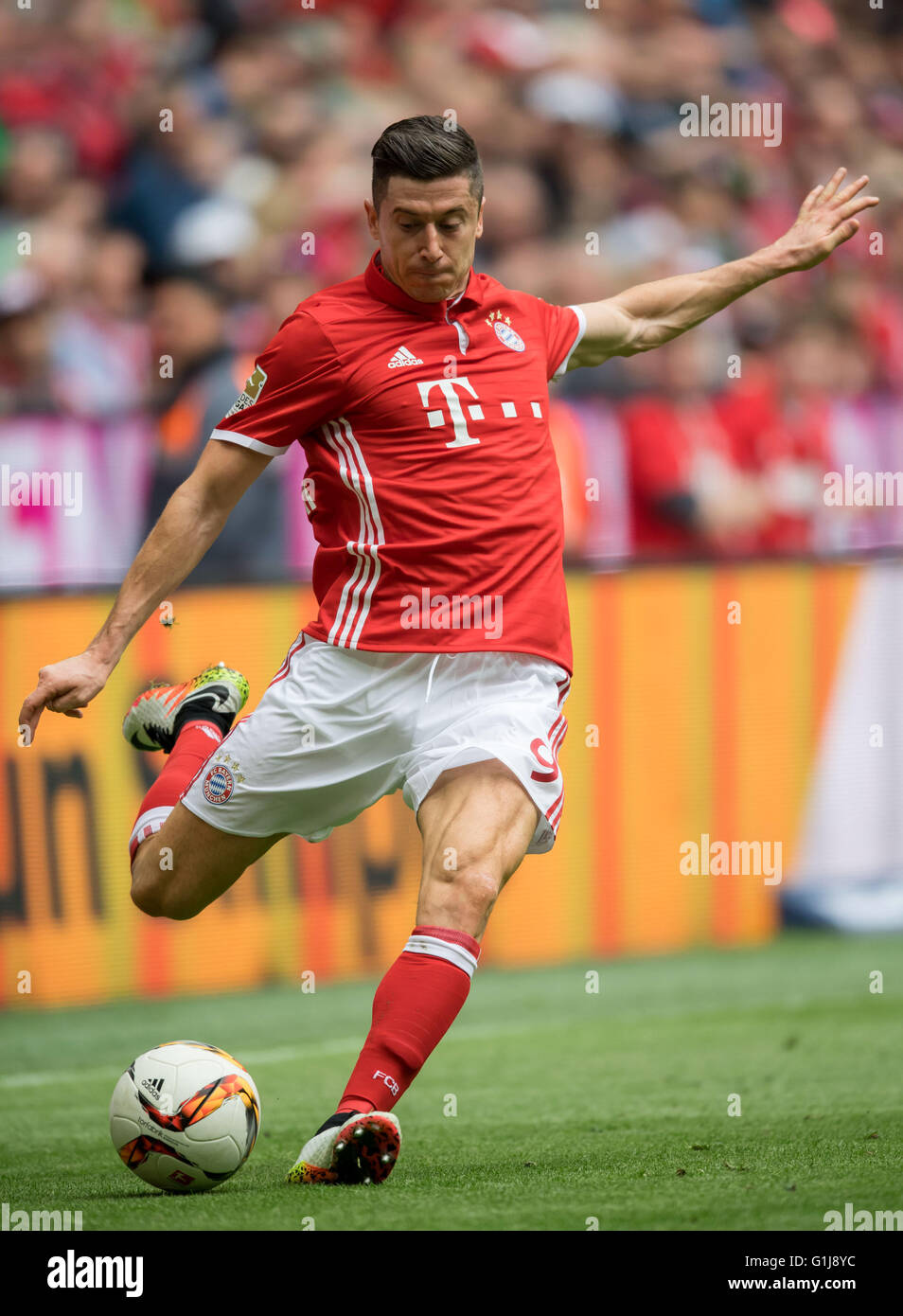 Munich's Robert Lewandowski in action during the German Bundesliga ...
