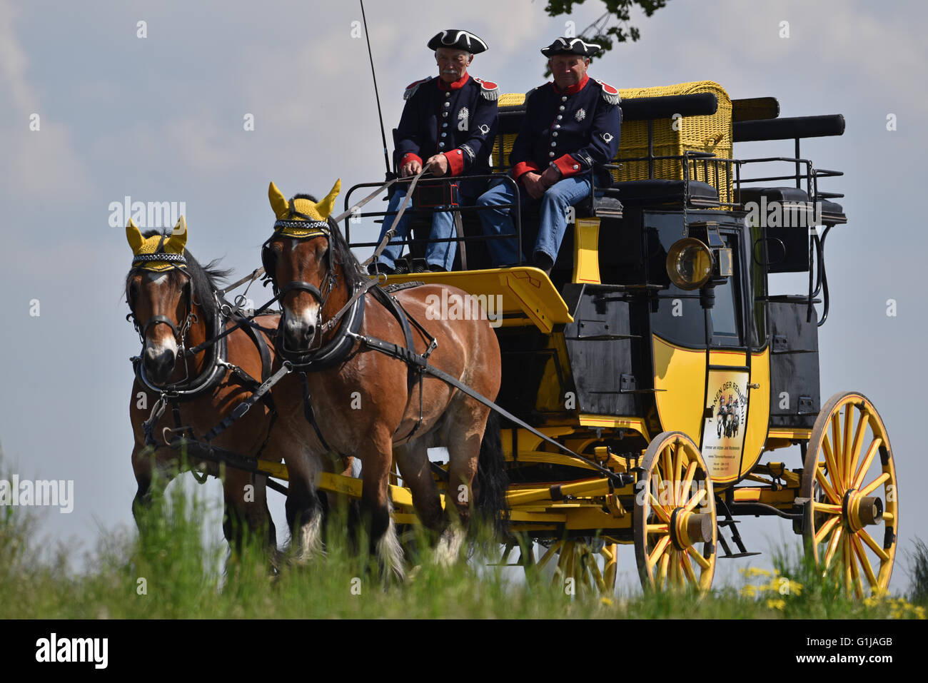 Beelitz, Germany. 11th May, 2016. A historical yellow stagecoach on a ...
