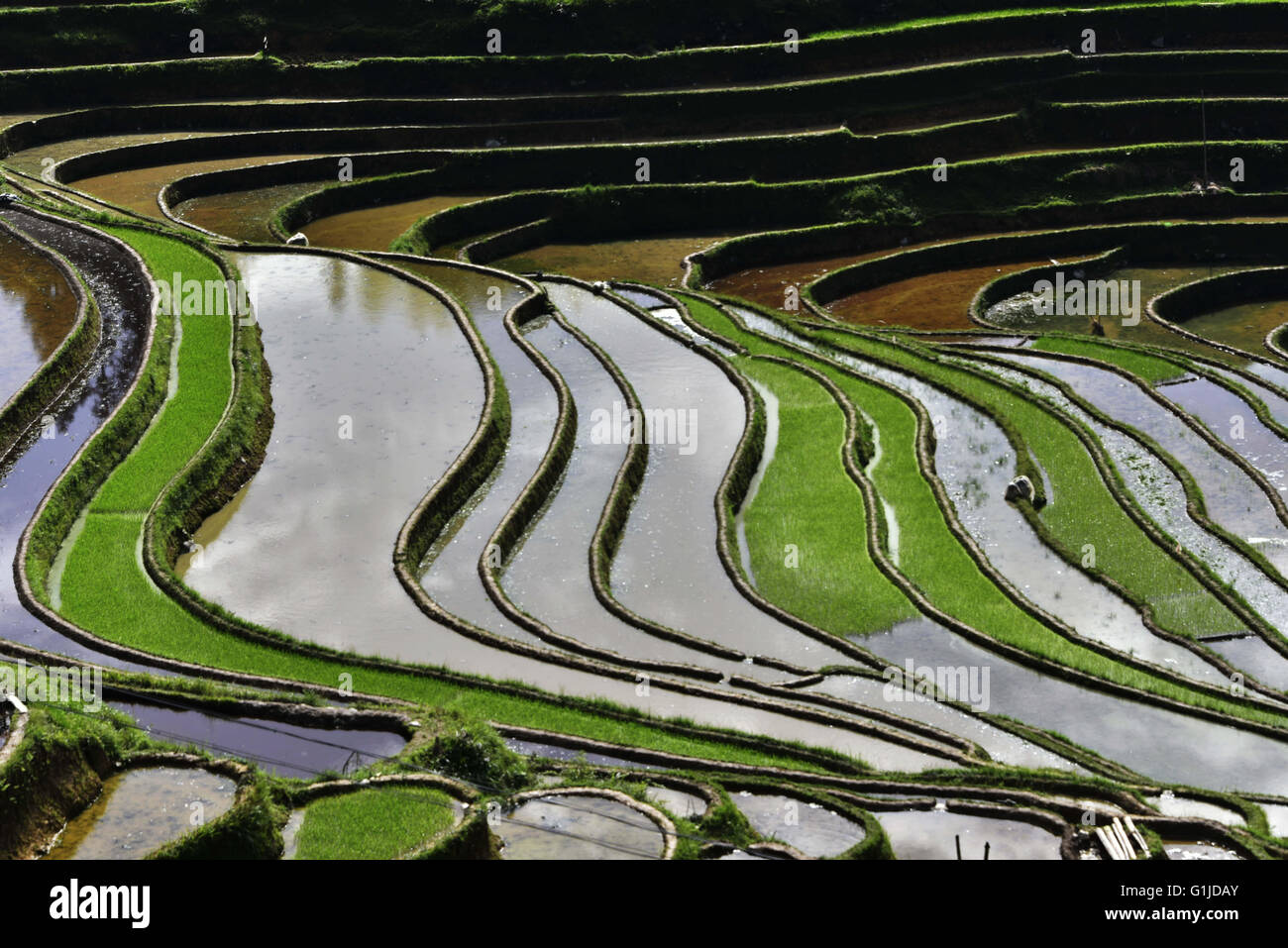 Donglang hi-res stock photography and images - Alamy