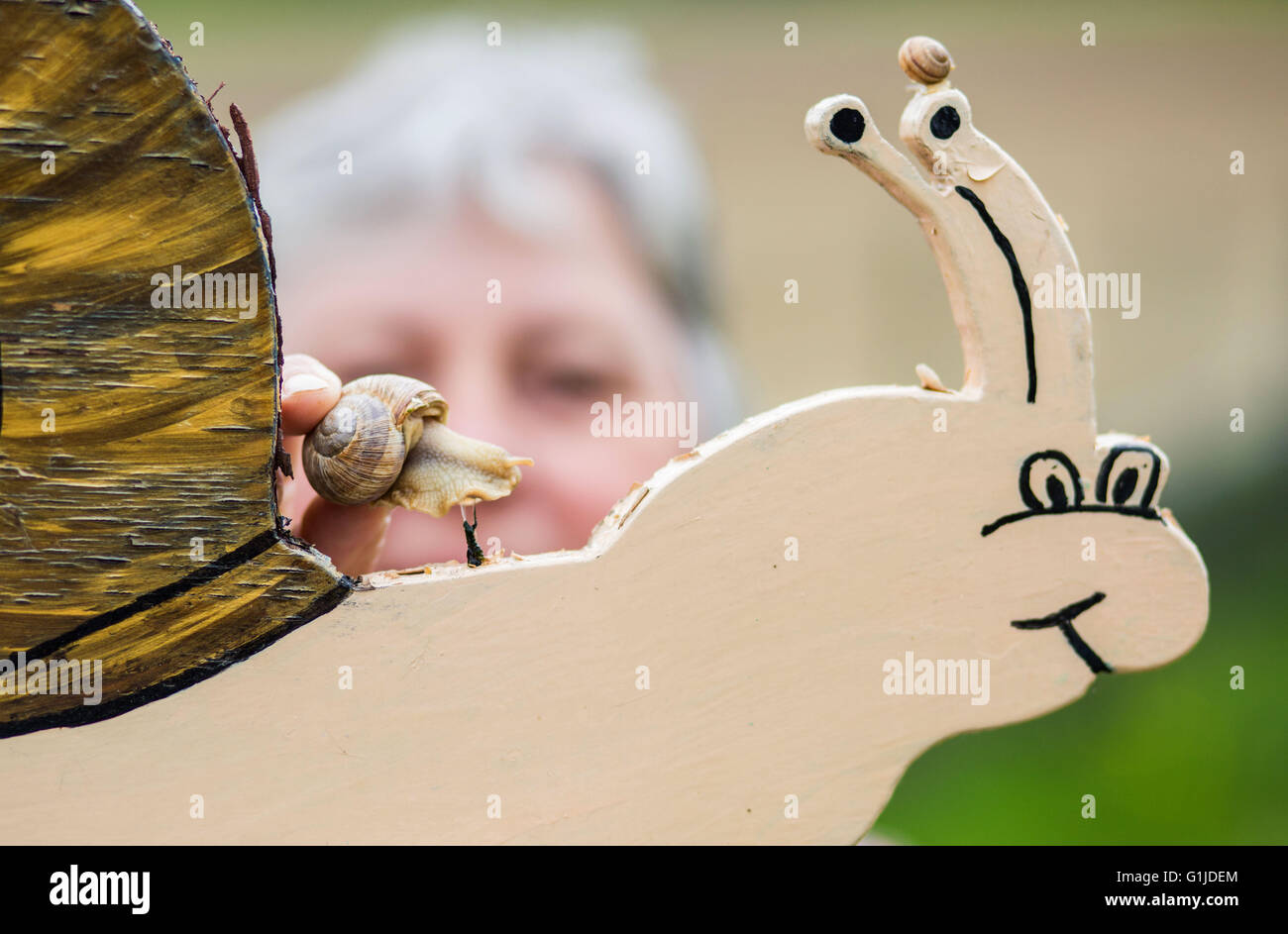 Muensingen, Gemrany. 10th May, 2016. Snail breeder Rita Goller breeds ...