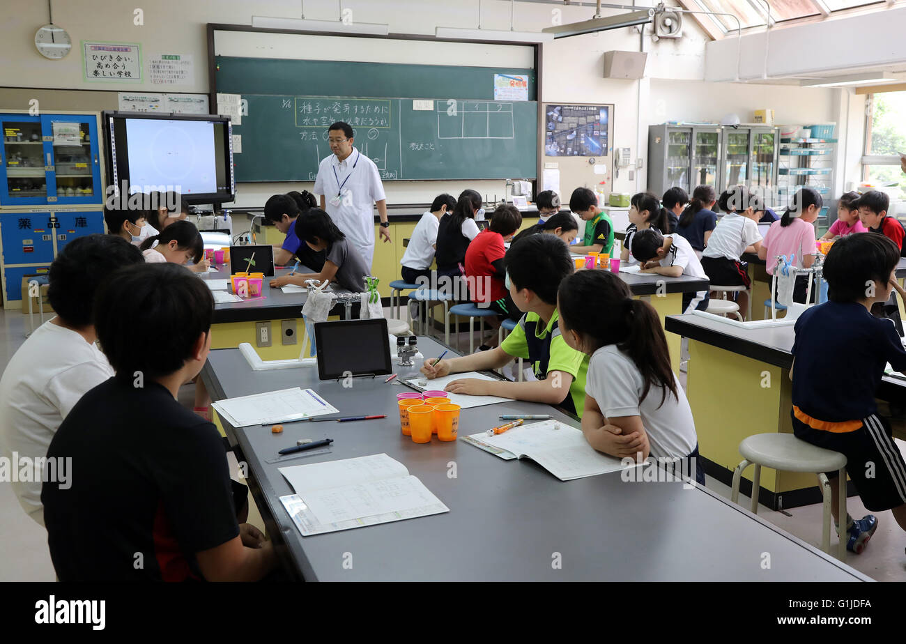 Tsukuba, Japan. 16th May, 2016. Takezono Higashi elementary school ...