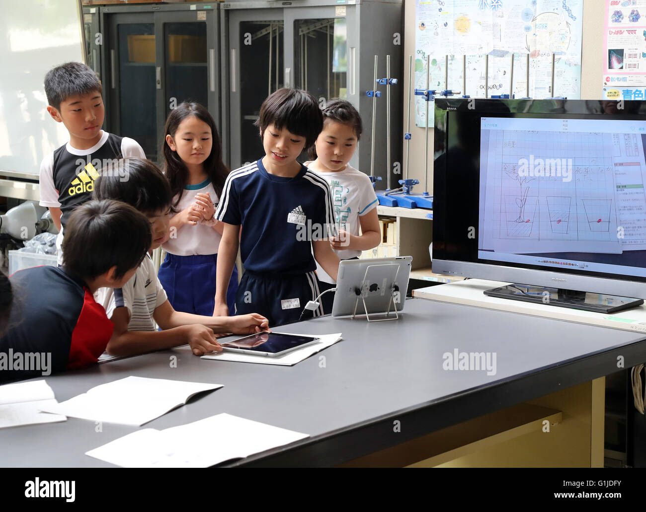 Tsukuba, Japan. 16th May, 2016. Takezono Higashi elementary school ...