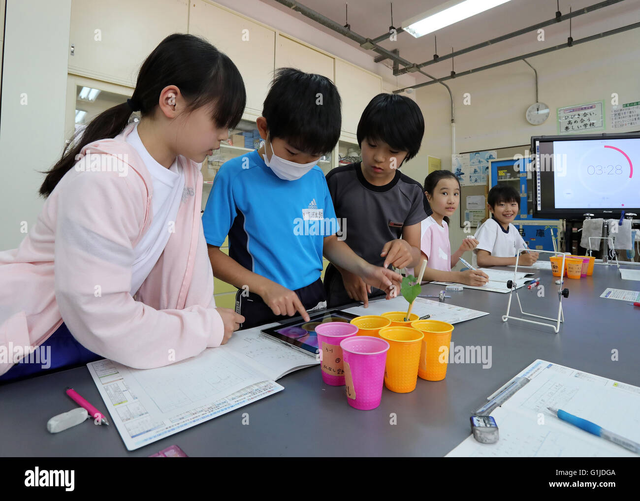 Tsukuba, Japan. 16th May, 2016. Takezono Higashi elementary school ...