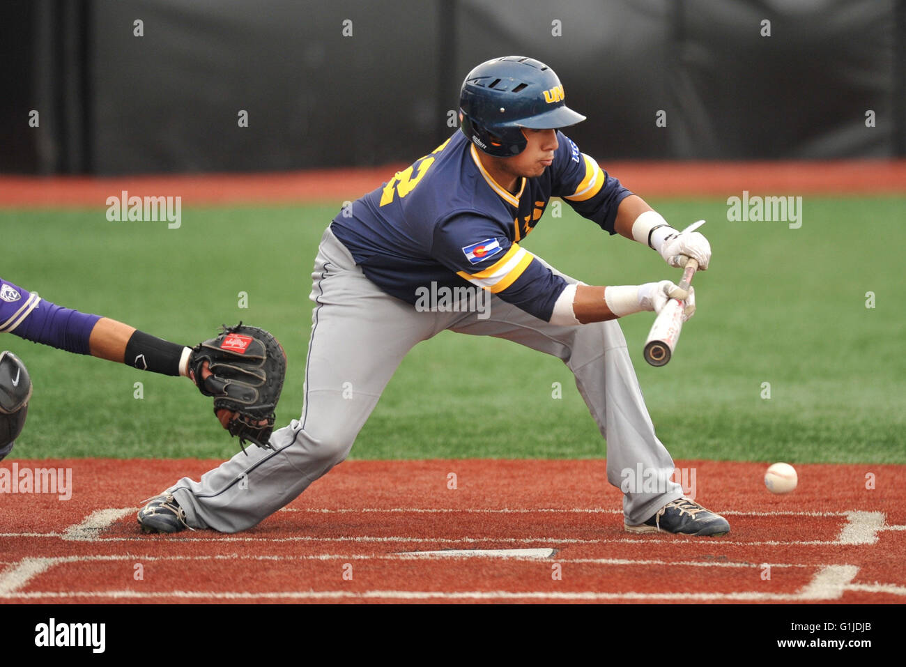 UNC catcher Jake Garcia (12) lays down a sacrifice bunt in game against ...