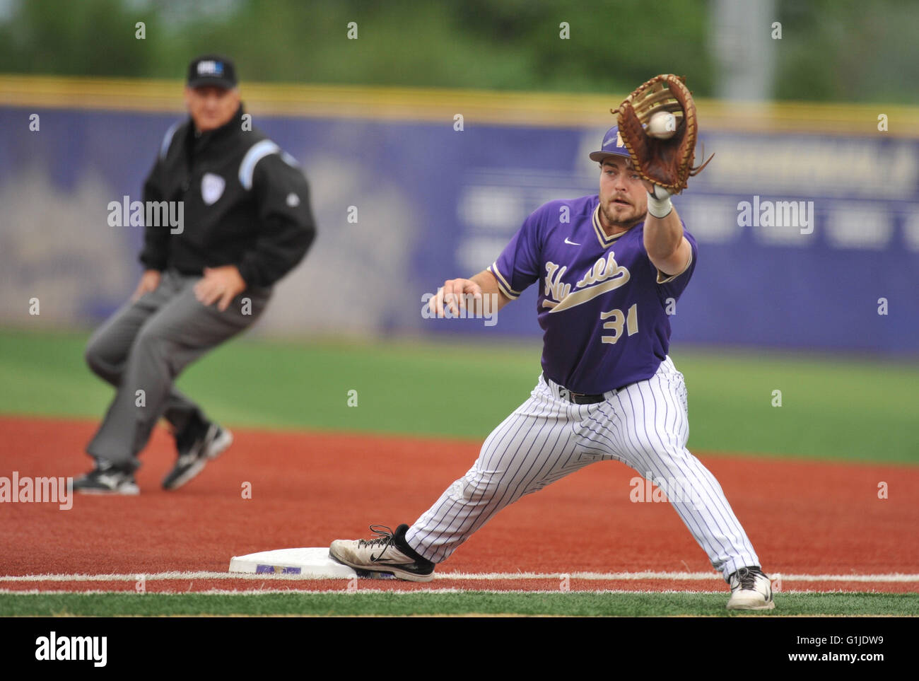Huskyballpark hi-res stock photography and images - Alamy