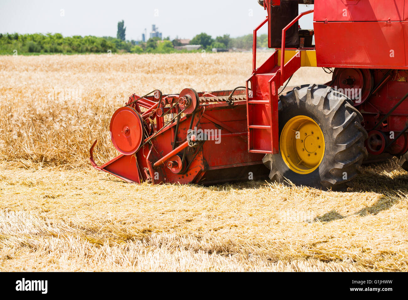 Combine harvester in action on barley field harvesting Stock Photo - Alamy