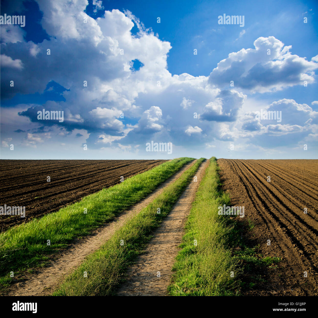 Field fields arable cultivated hi-res stock photography and images - Alamy