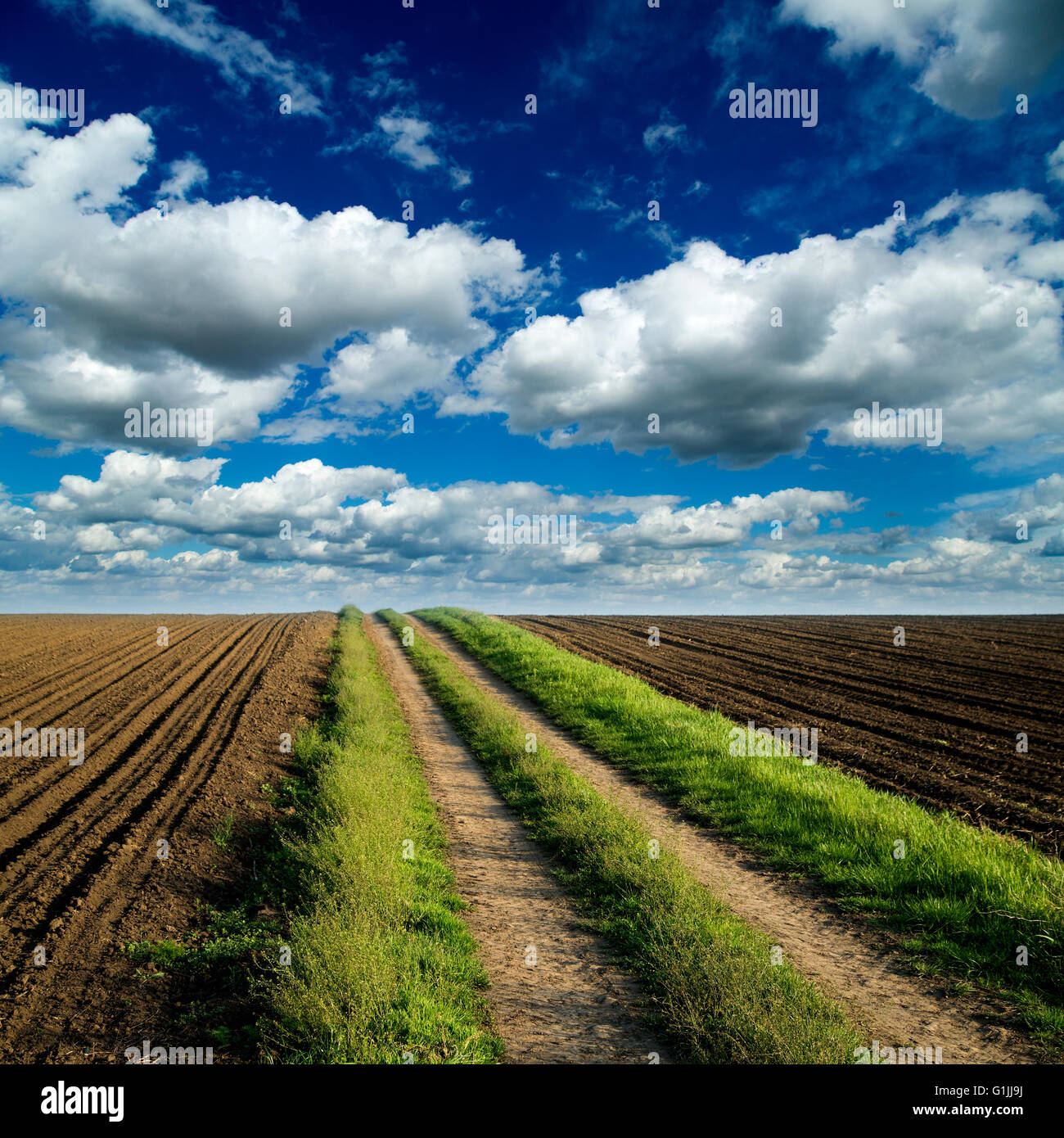 Rural road trough fields of arable land Stock Photo - Alamy