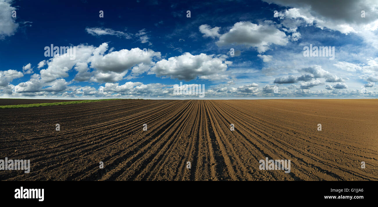 Arable land panorama Stock Photo - Alamy