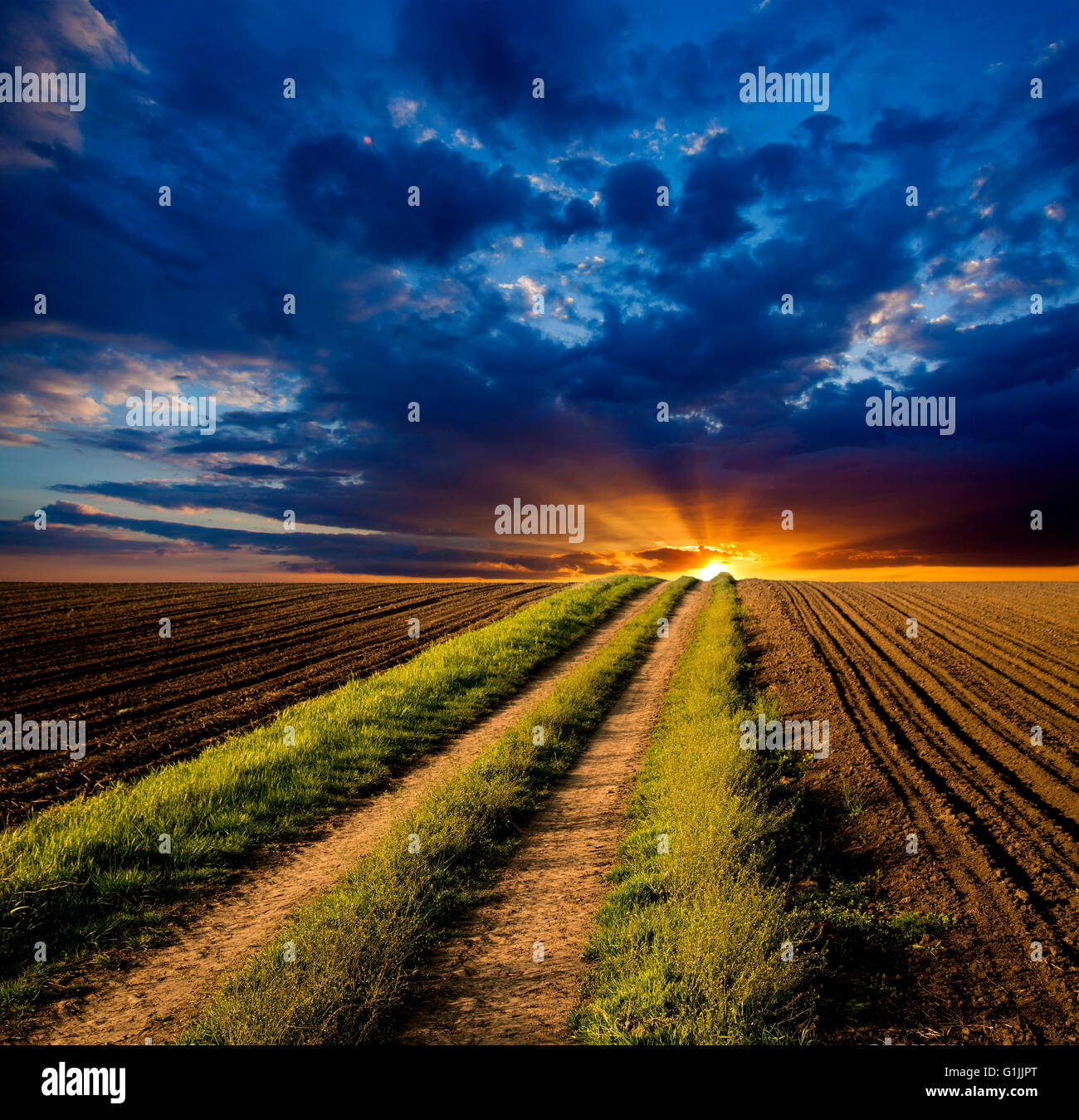 Rural road trough fields of arable land Stock Photo - Alamy
