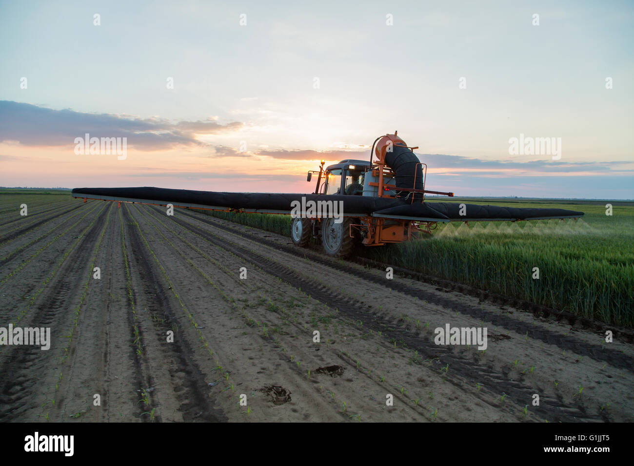 Spraying crops at farm field Stock Photo - Alamy