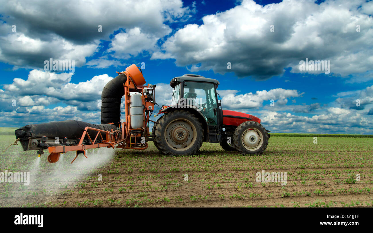 Tractor spraying soybean crops field with sprayer, pesticides and ...
