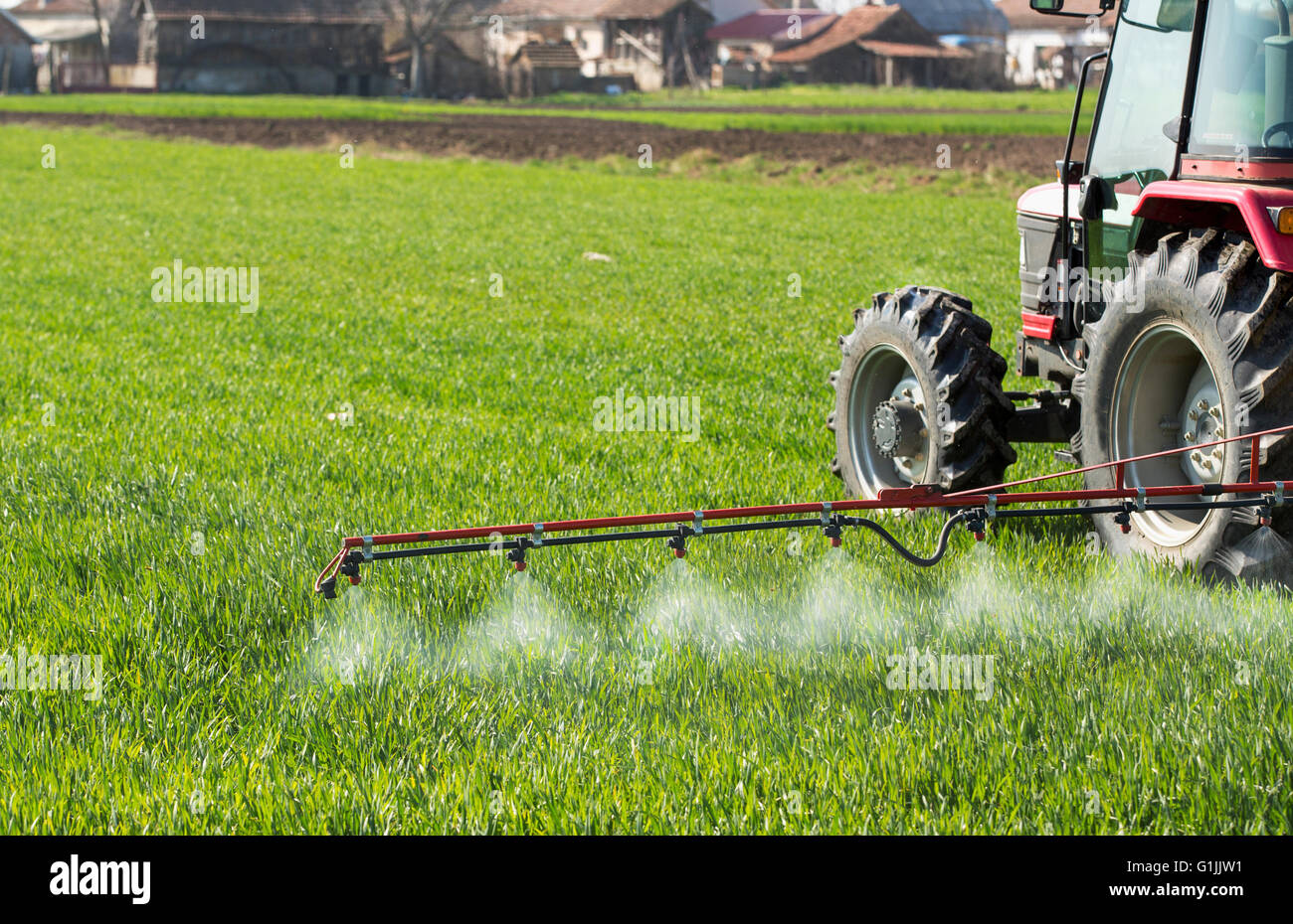 Tractor spraying wheat field with sprayer, pesticides and herbicides ...