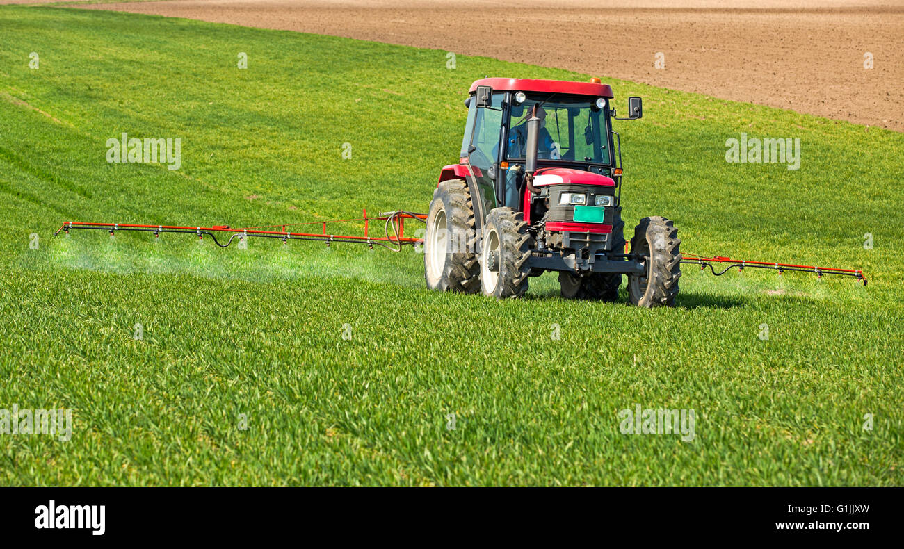Farmer spraying wheat field at spring season, herbicides, pesticides ...