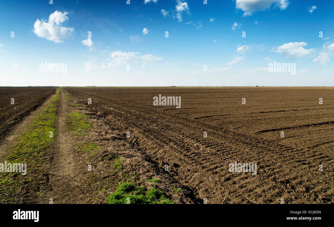Rural road trough arable land over blue sky Stock Photo - Alamy