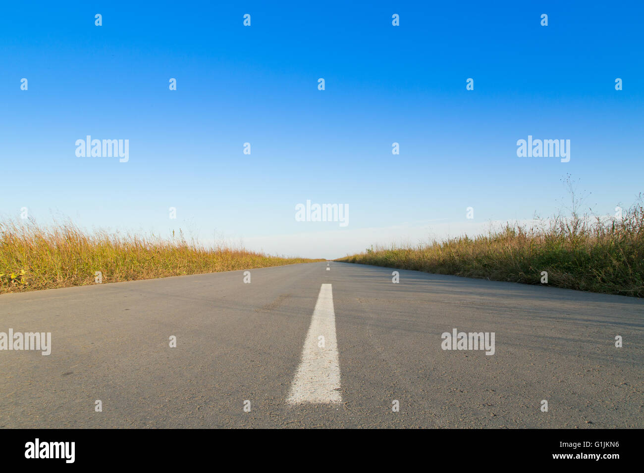 Open road green sun hi-res stock photography and images - Alamy