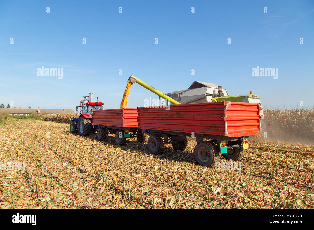 Combine harvesting corn and unloading grains in to tractor trailer ...