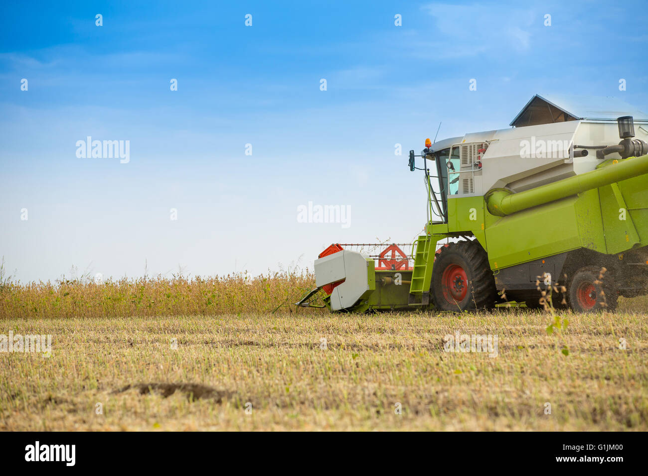 Harvesting soybean hi-res stock photography and images - Alamy