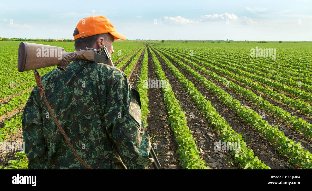 Male hunter looking at field during hunt season Stock Photo - Alamy