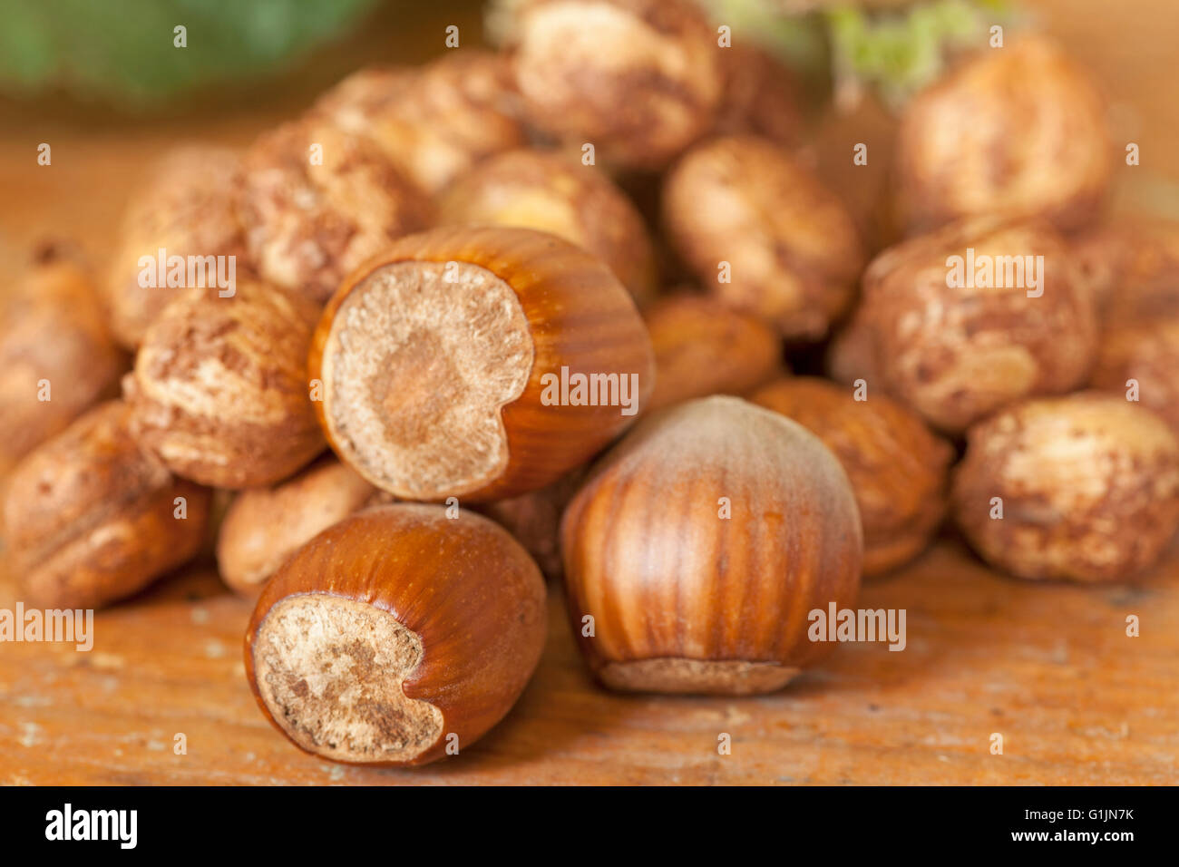 Open hazelnut hi-res stock photography and images - Alamy