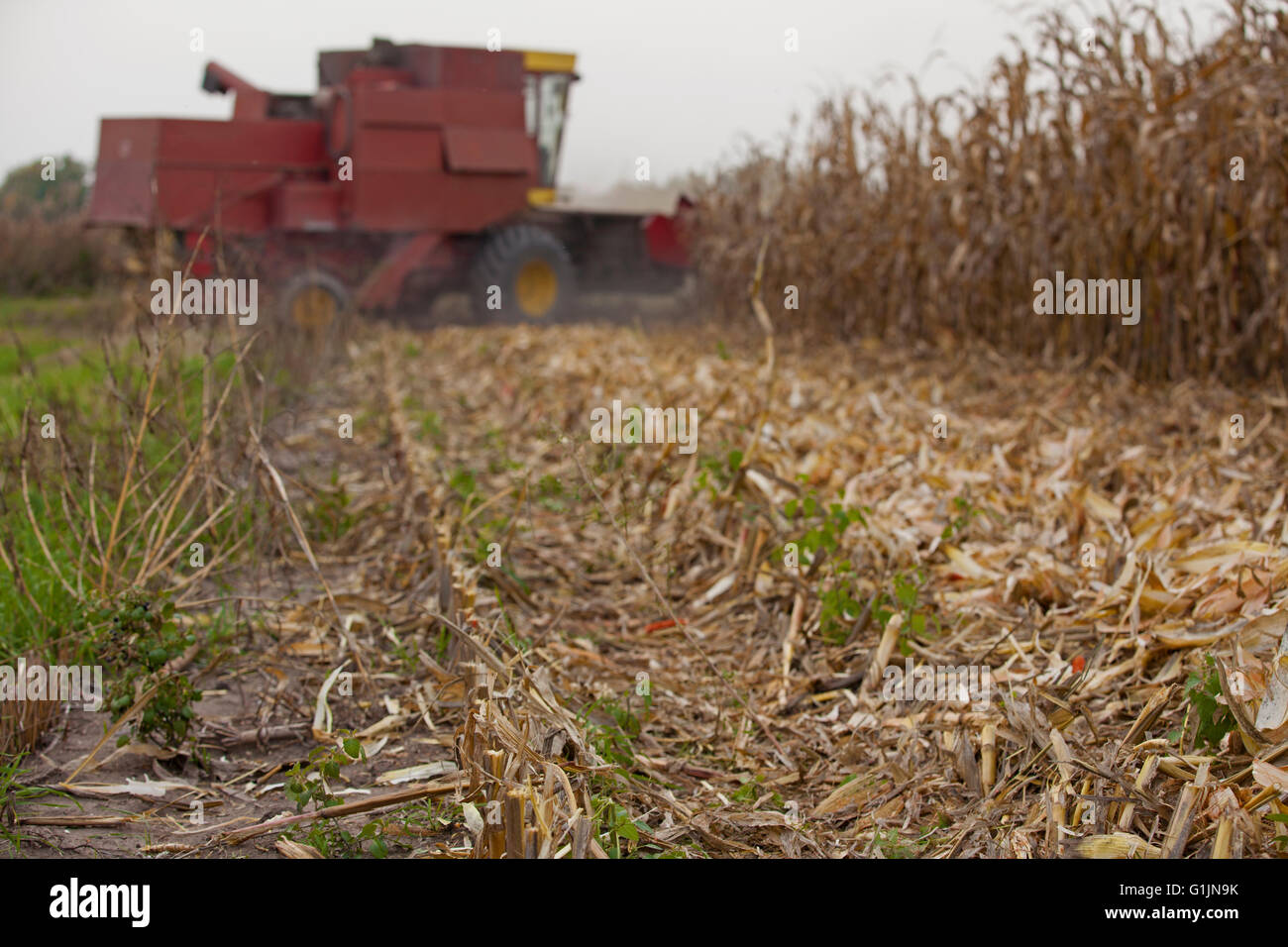 Harvesting the crops hi-res stock photography and images - Alamy