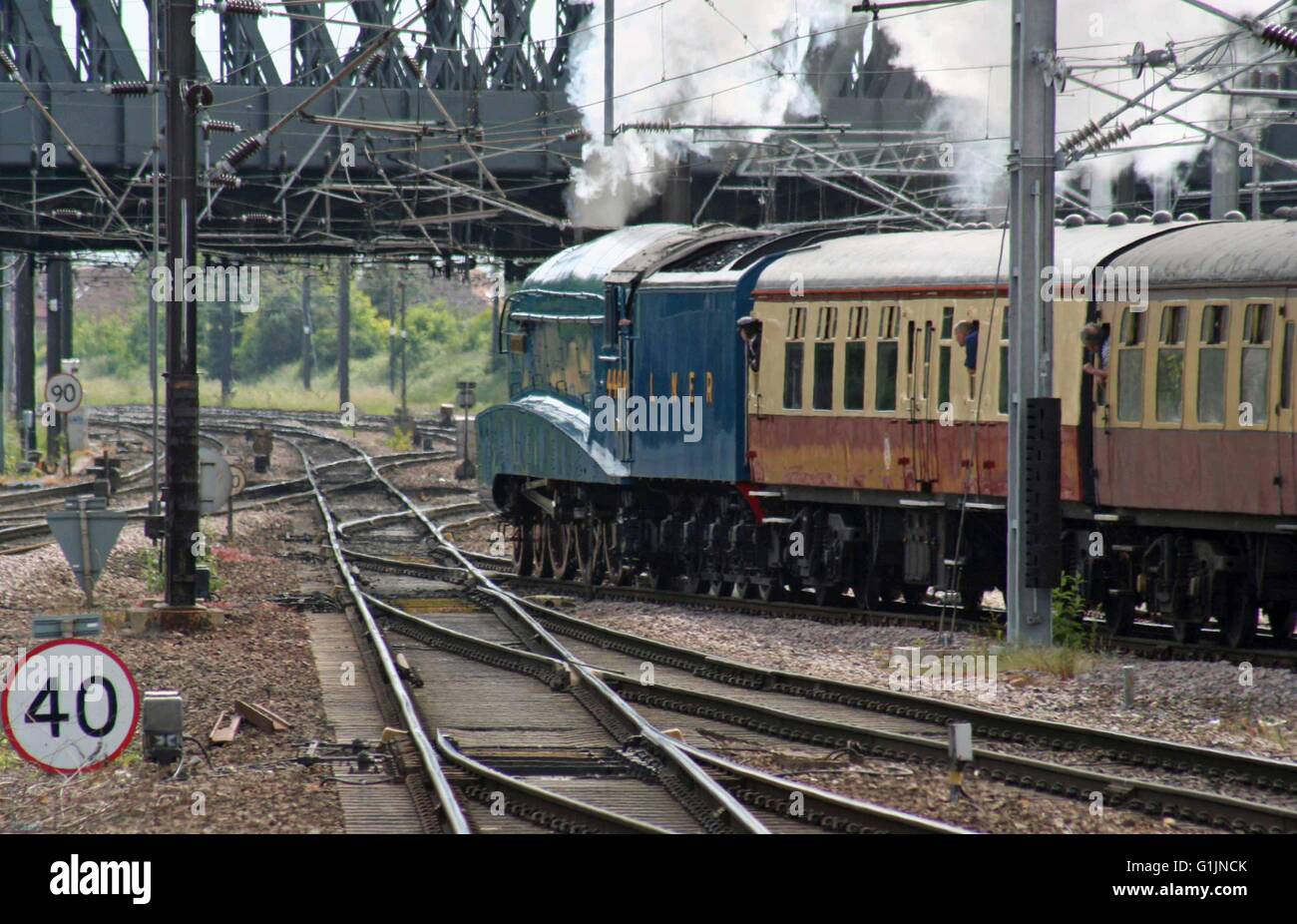 Train trains steam locomotive bittern hi-res stock photography and ...