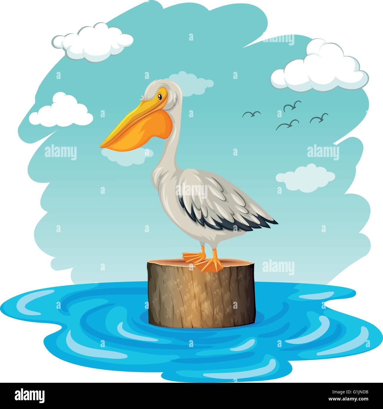 Pelican standing on log illustration Stock Vector Image & Art - Alamy