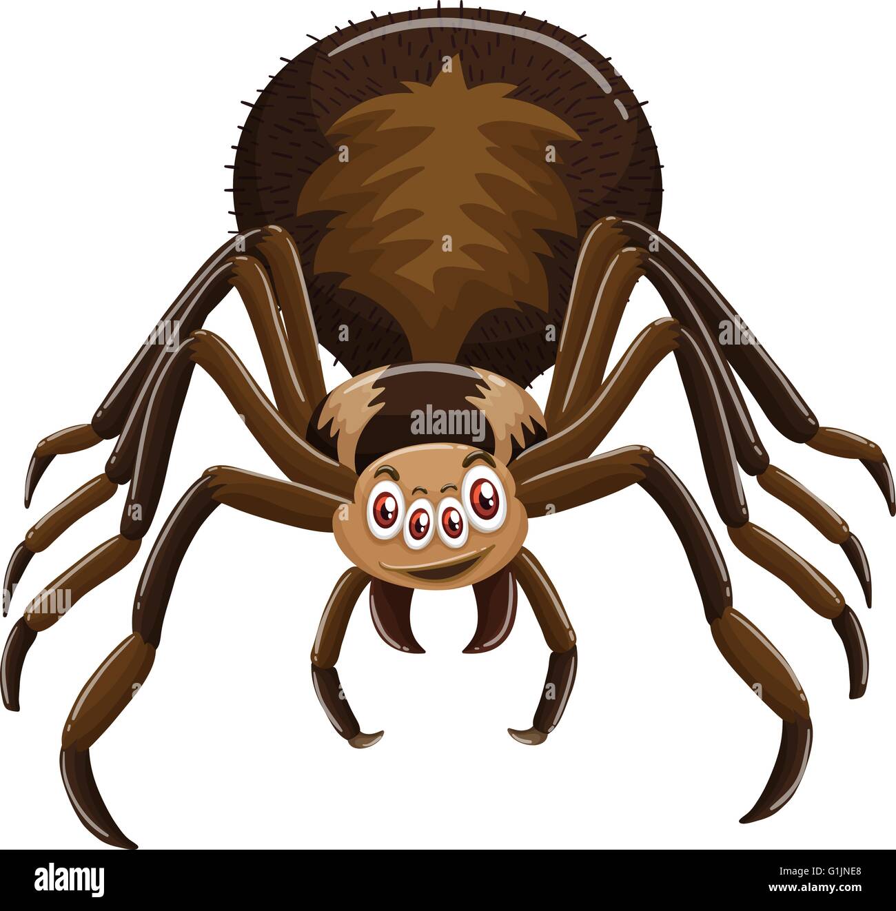 Wild spider on white background illustration Stock Vector Image & Art ...