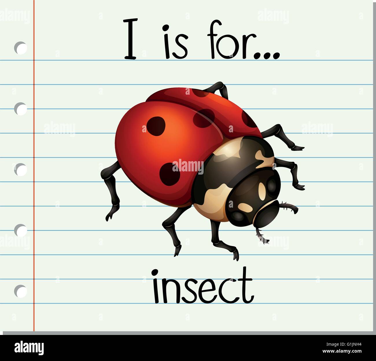 Flashcard letter I is for insect illustration Stock Vector Image & Art ...