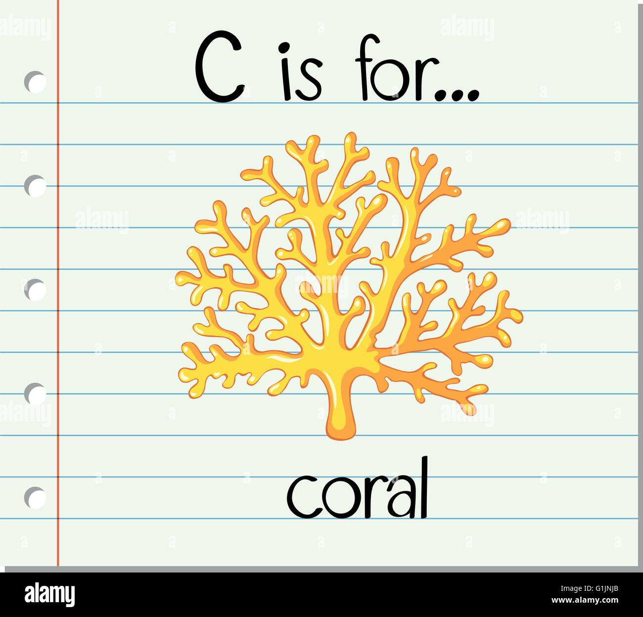 Flashcard letter C is for coral illustration Stock Vector Image & Art ...