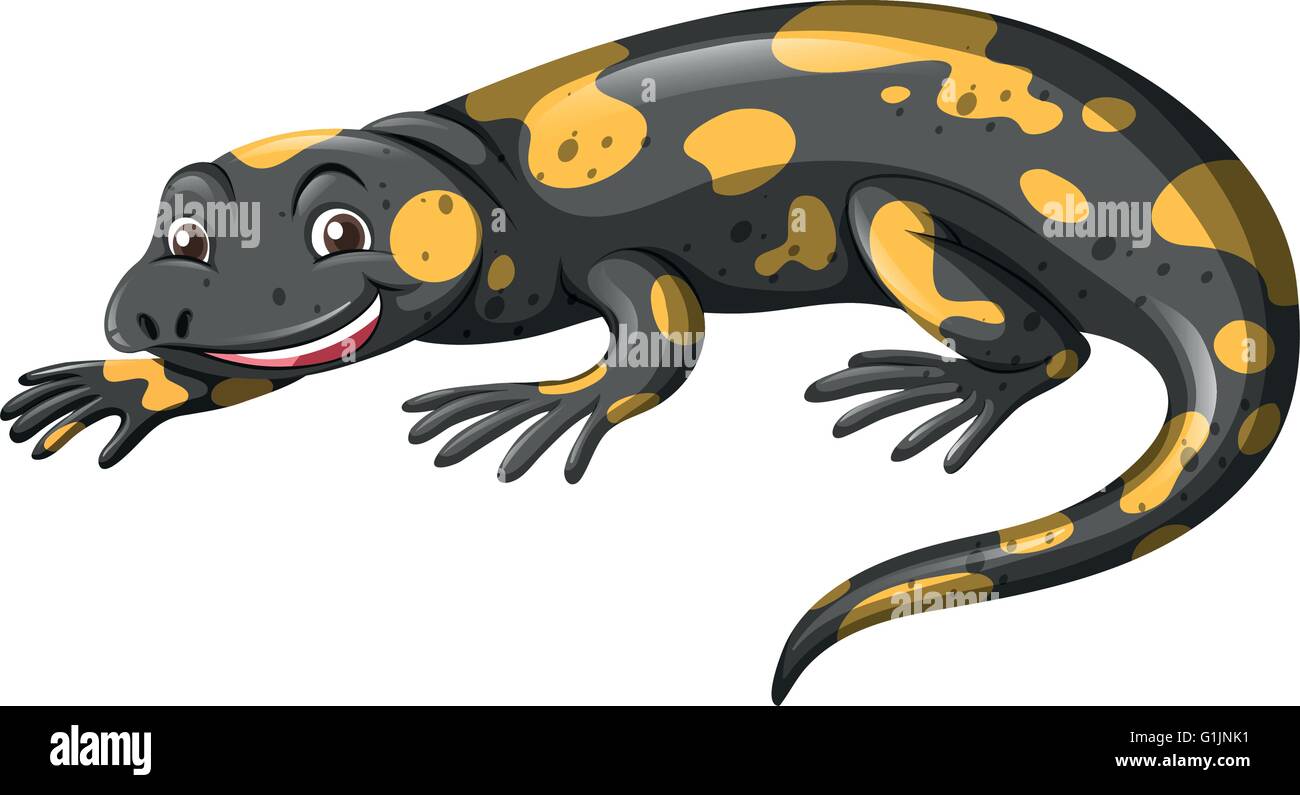 Salamander Cartoon Clipart Party