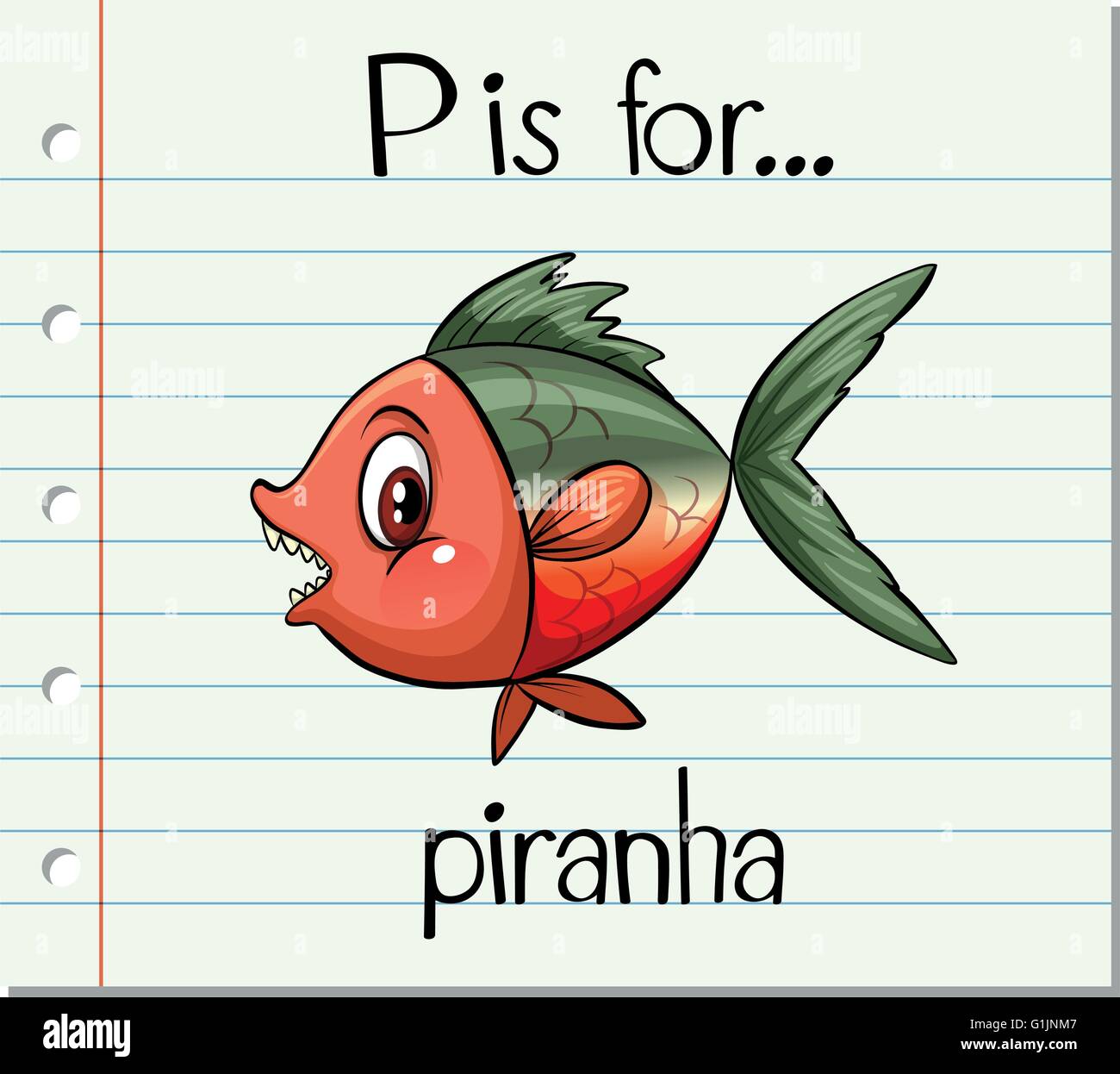 Flashcard letter P is for piranha illustration Stock Vector Image & Art ...