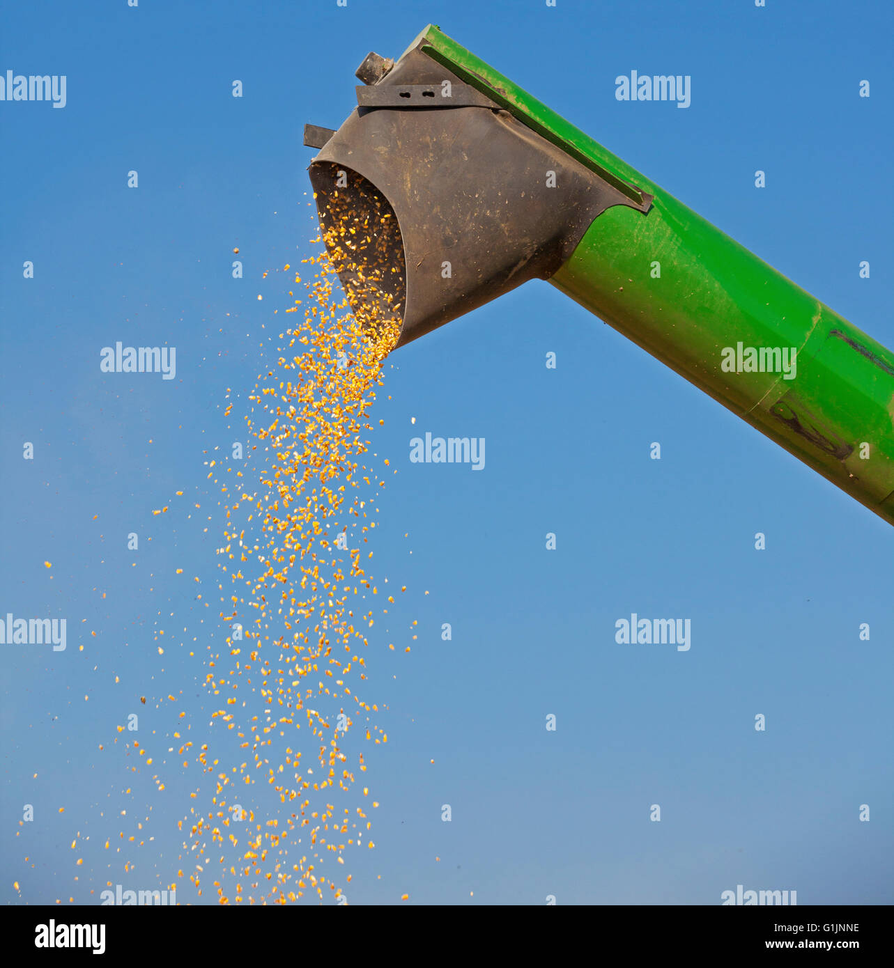 Combine harvester unloading grain blue hi-res stock photography and ...