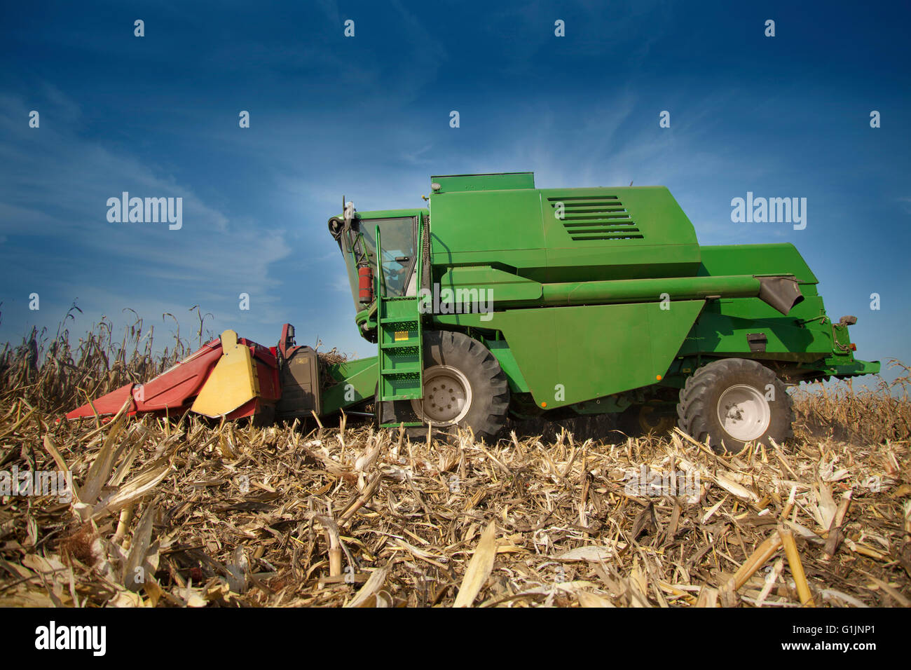 Combine harvesting corn at field Stock Photo - Alamy