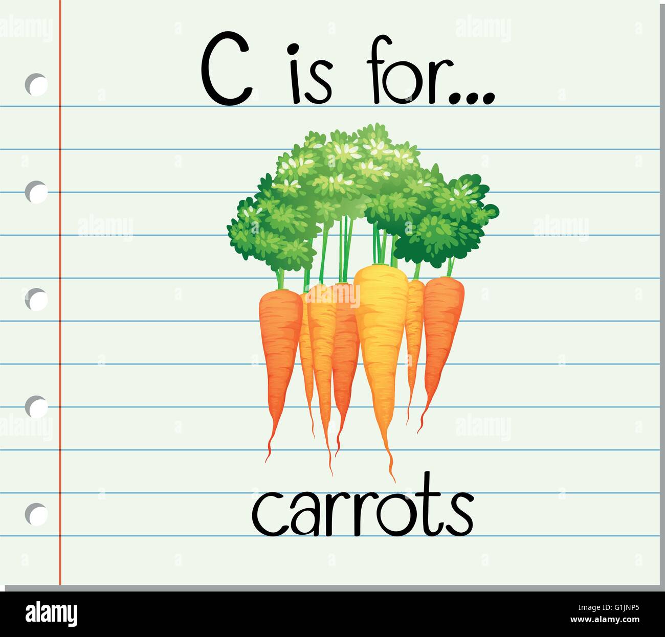 Flashcard letter C is for carrots illustration Stock Vector Image & Art ...