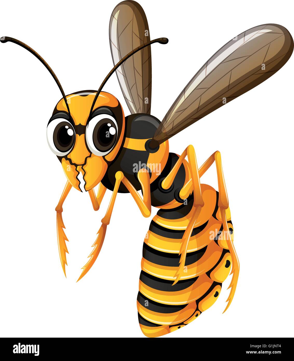 Wasp flying on white background illustration Stock Vector Image & Art ...